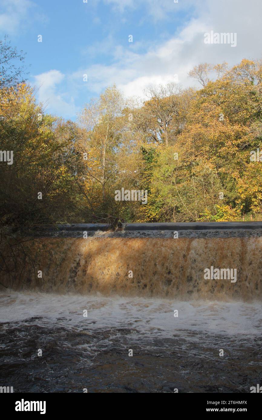 Edinburgh: the Water of Leith weir flows through woods tinged with ...