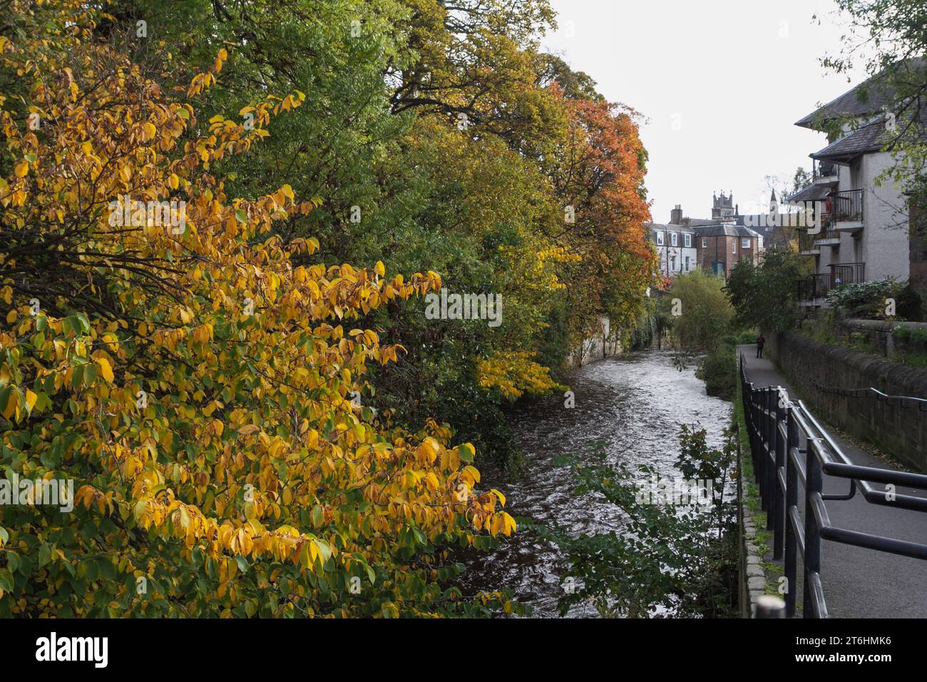 Edinburgh: autumn foliage overhangs the Water of Leith which winds a ...