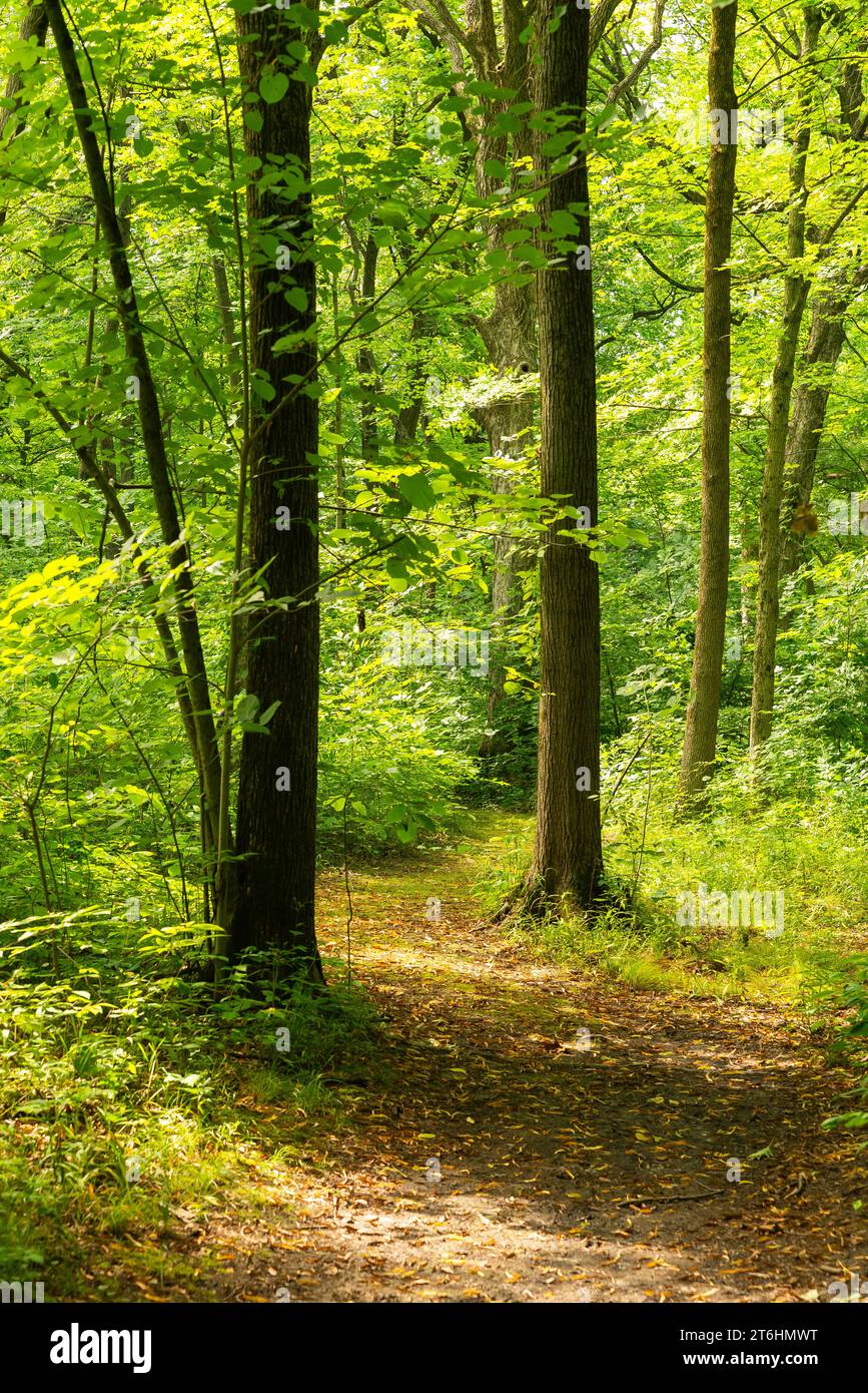 Hiking trail through the Baker Woods Forest Preserve in Minooka ...
