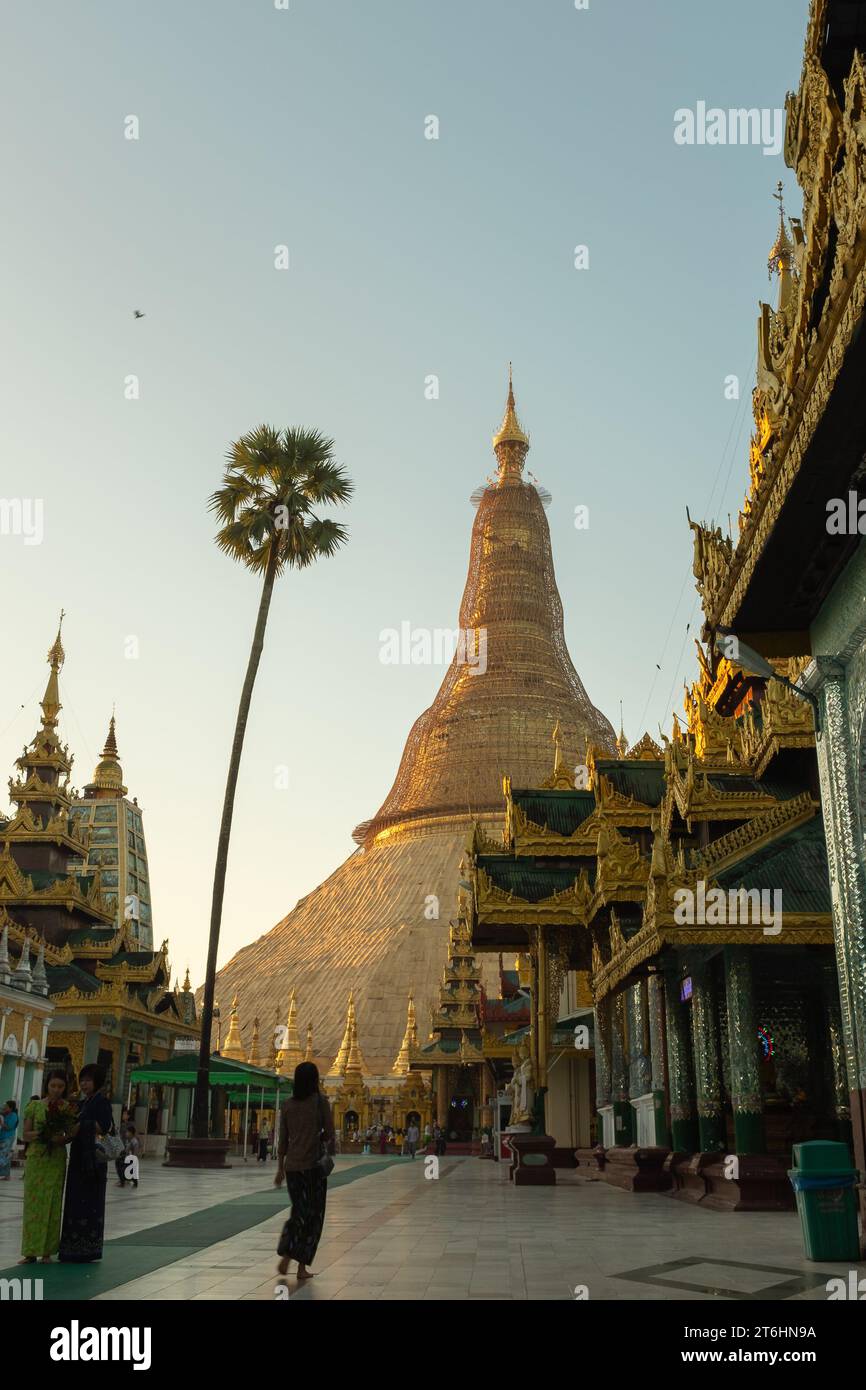 Yangon, Myanmar. The rising sun is setting the Shwedagon ablaze through ...