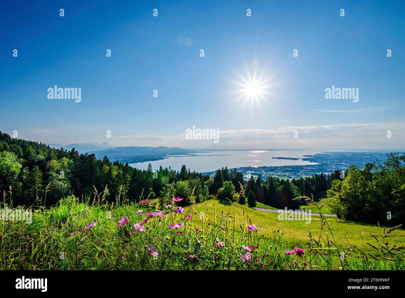 Lake constance against sun hi-res stock photography and images - Alamy