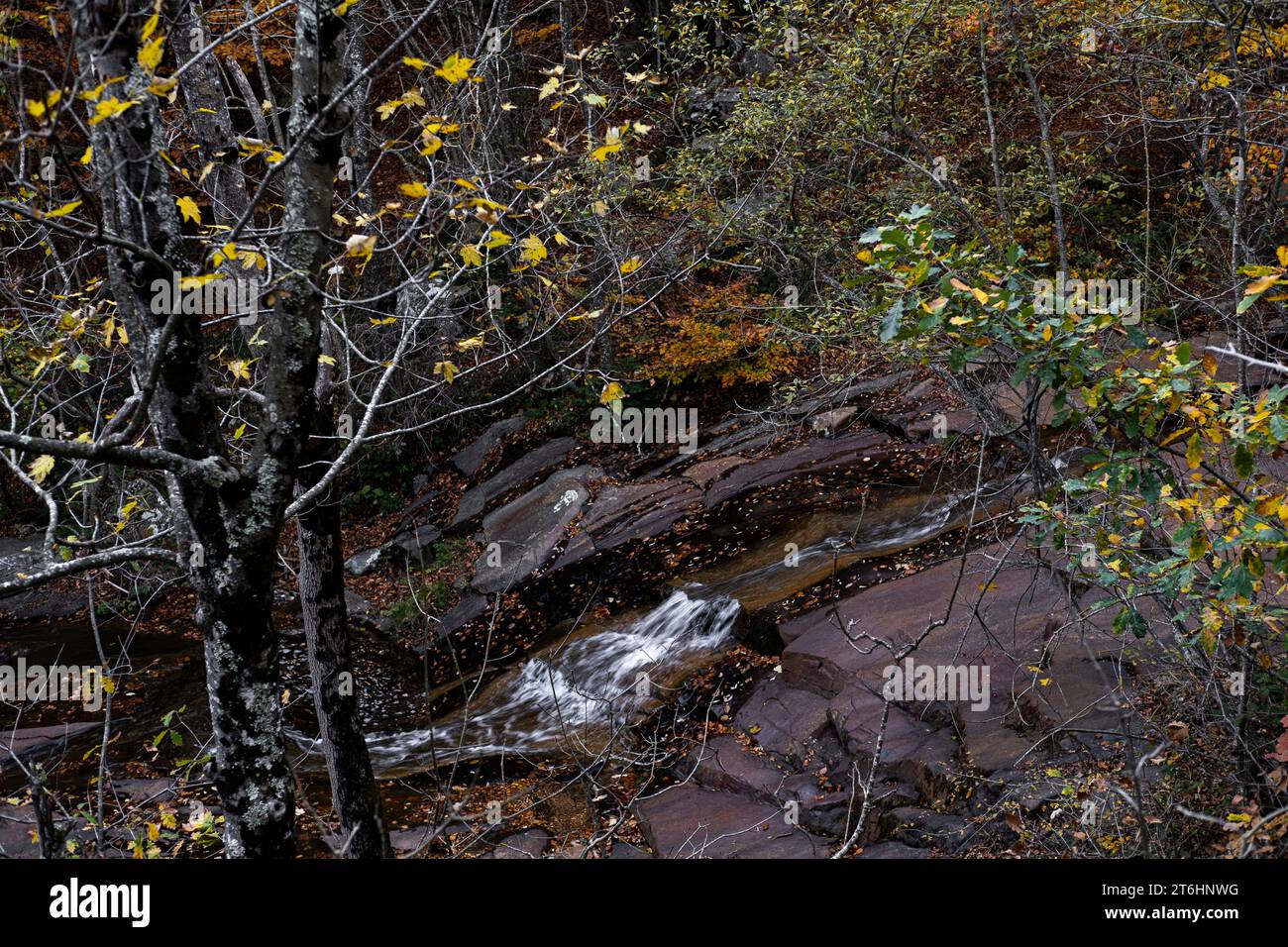 The Tordera river in the forests of the Montseny mountain in autumn in ...