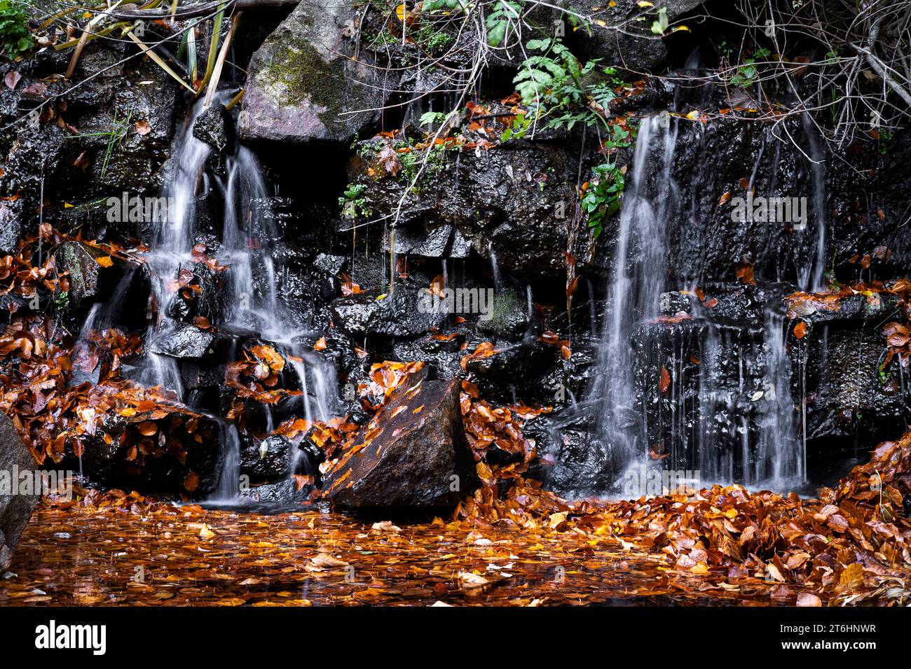 The Tordera river in the forests of the Montseny mountain in autumn in ...