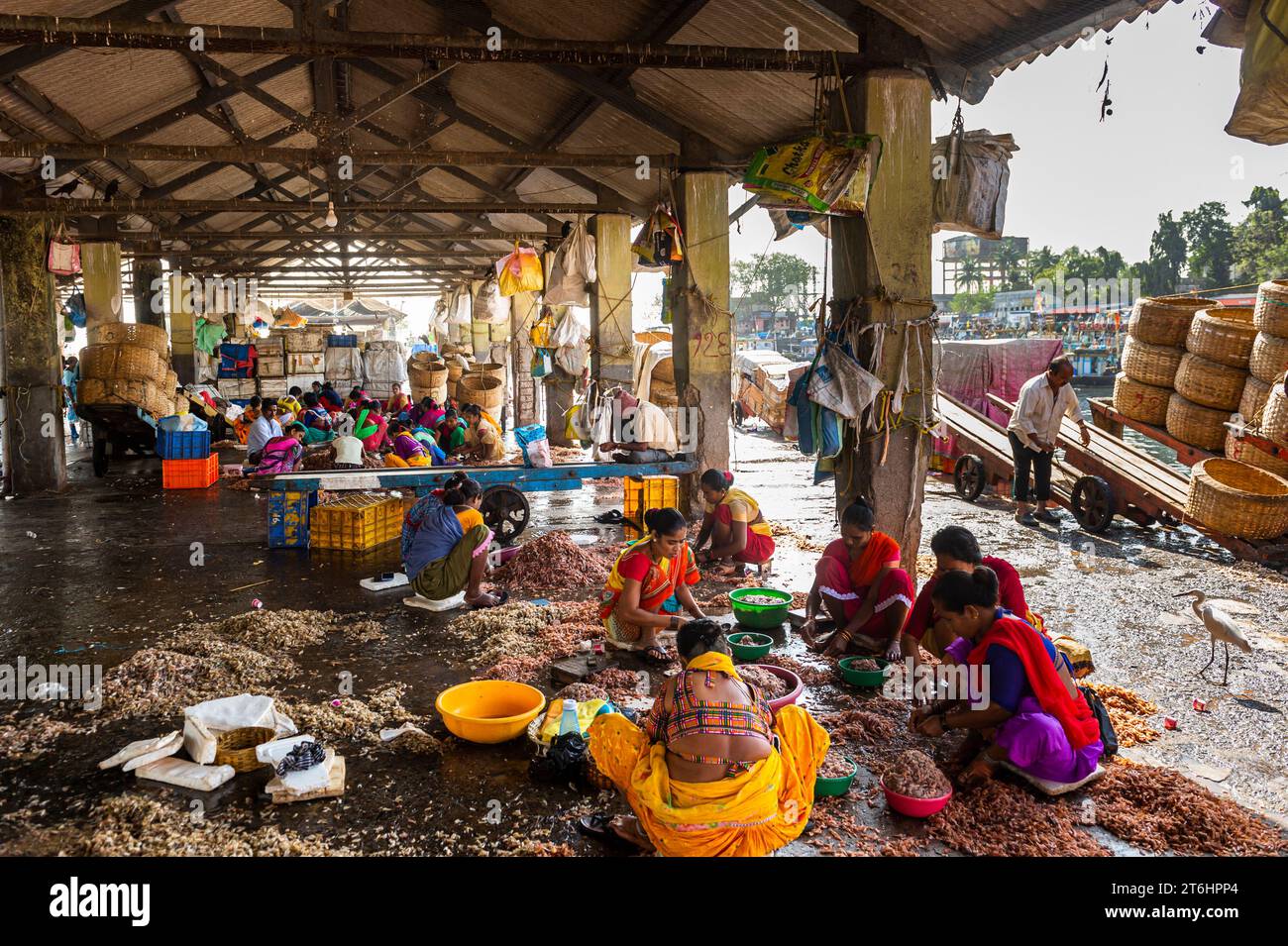 India, Mumbai, the Sassoon Docks Stock Photo - Alamy