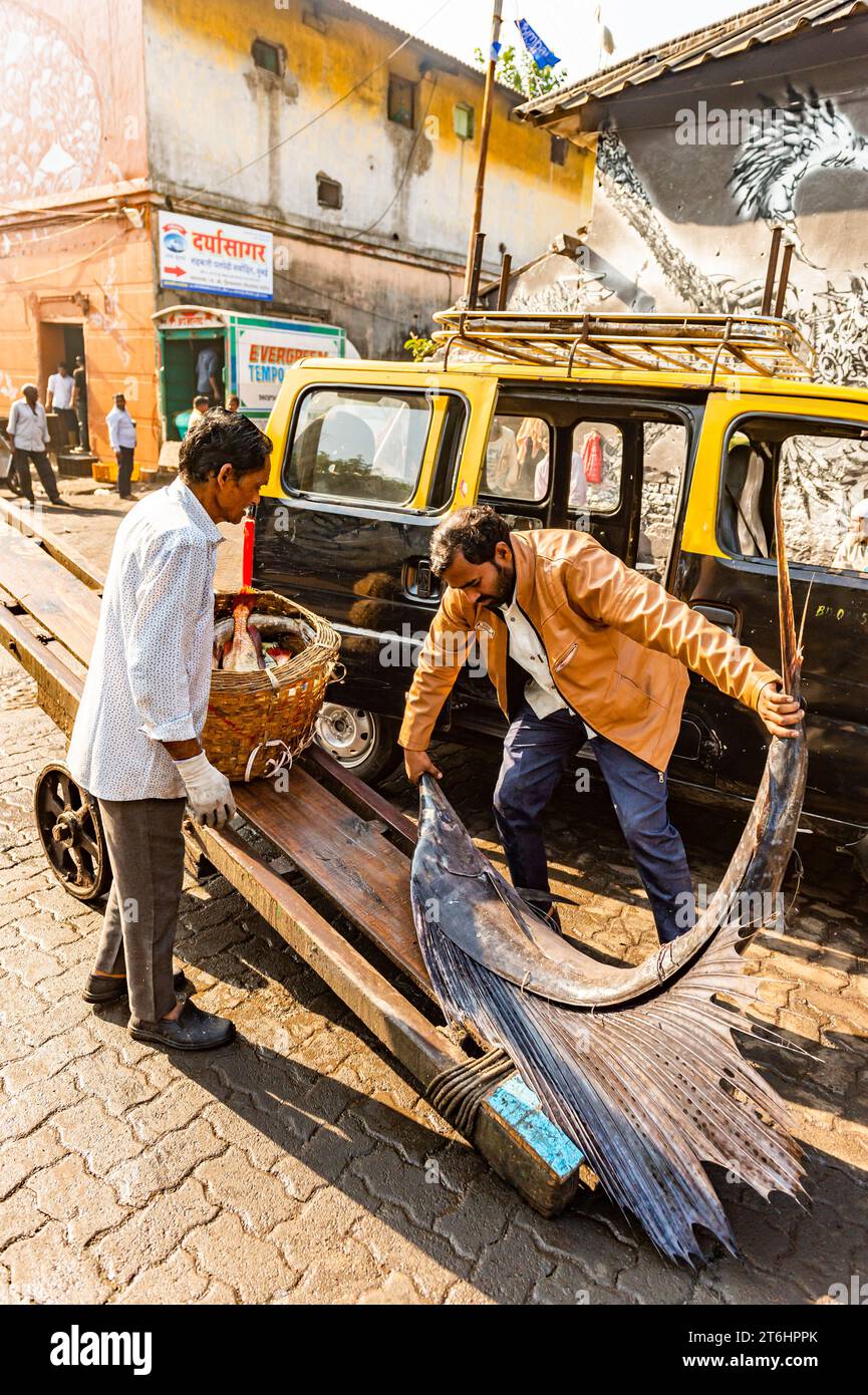 India, Mumbai, Sassoon Docs fishing port Stock Photo - Alamy