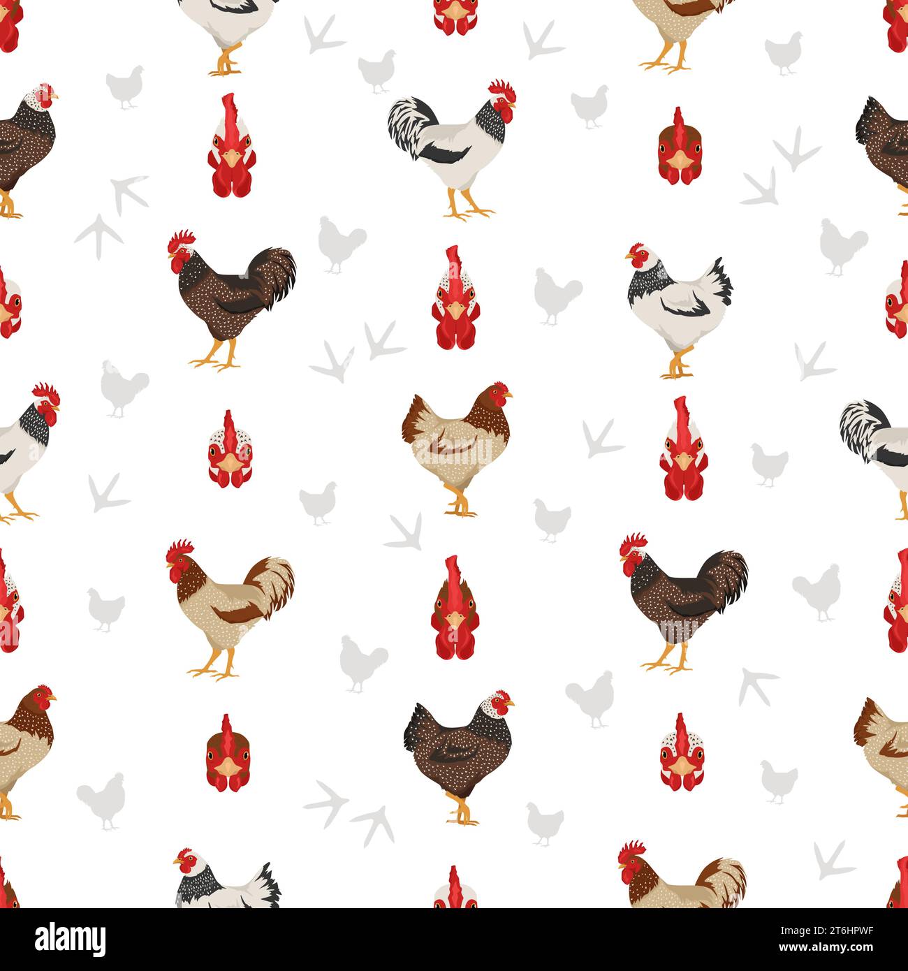 Sussex Chicken breeds seamless pattern. Poultry and farm animals ...