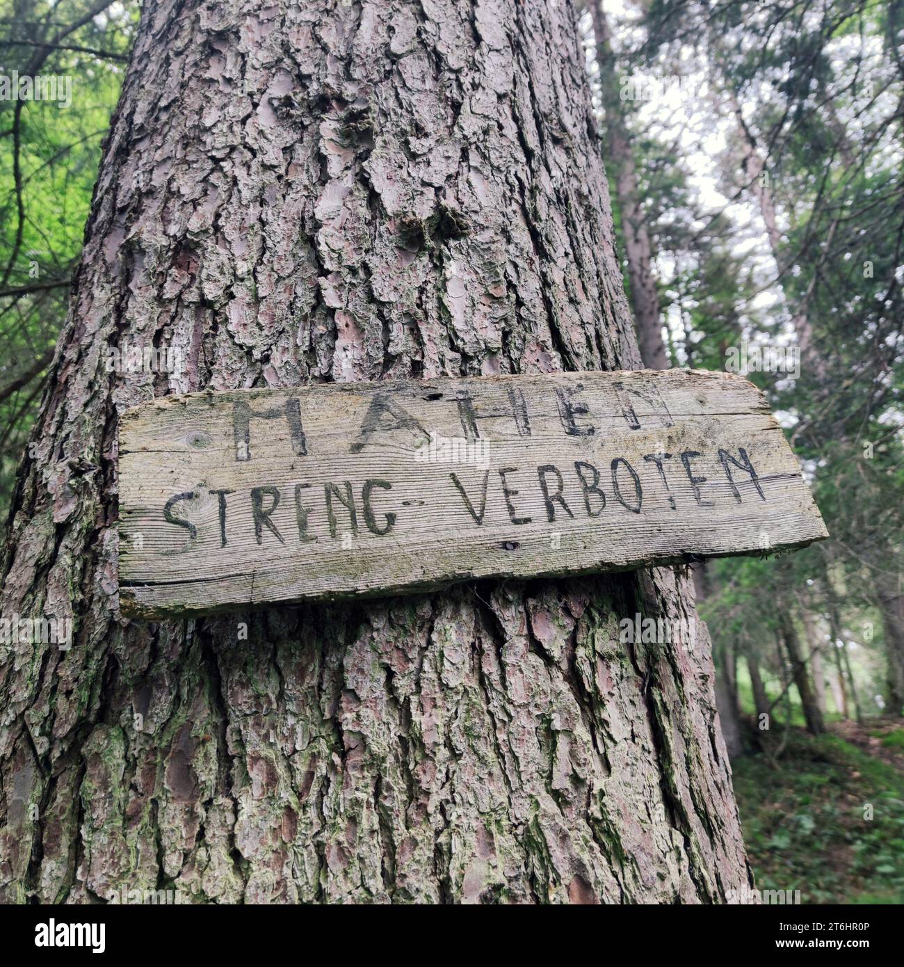 Mowing strictly forbidden hi-res stock photography and images - Alamy