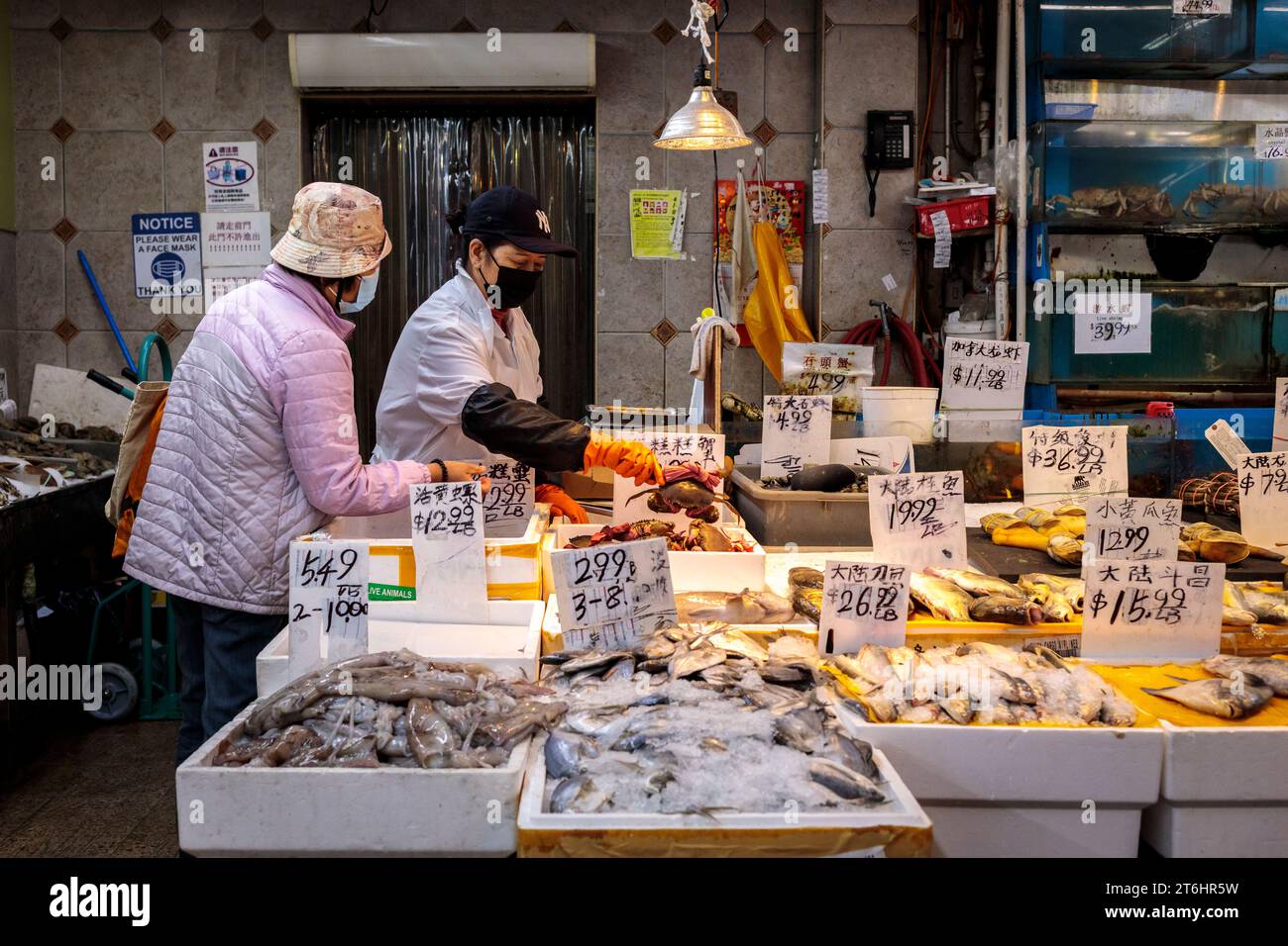Chinatown Fish Market, New York City, North America, United States, USA ...