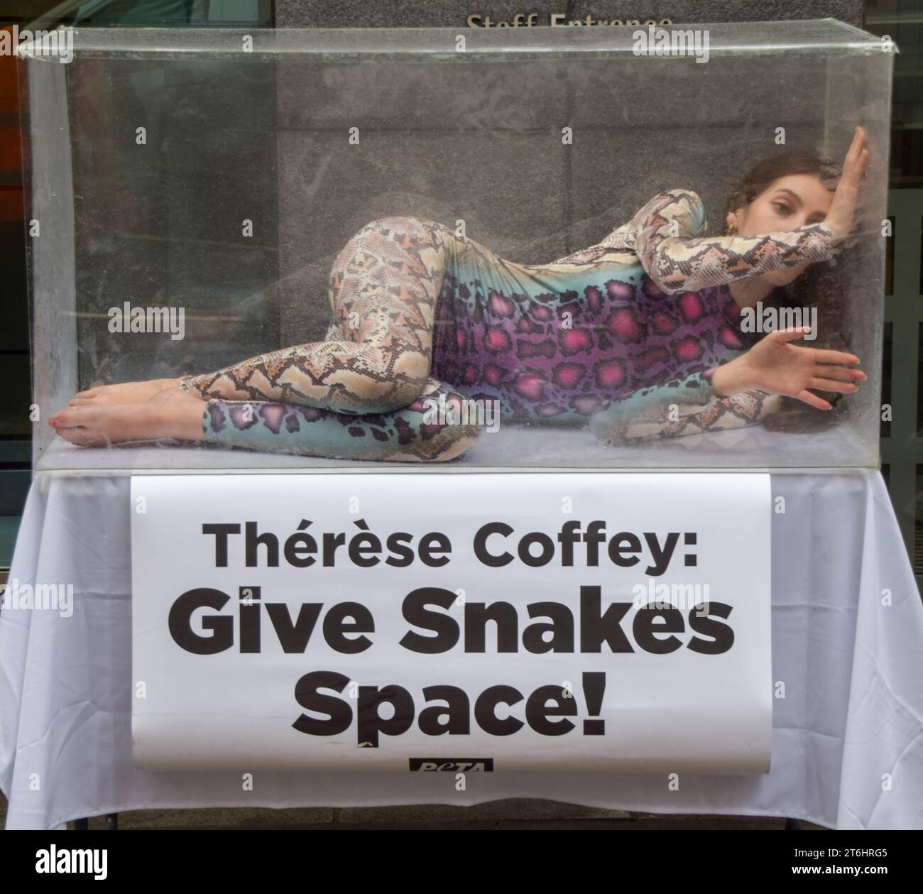 London, UK. 10th November 2023. A PETA activist wearing a snake costume ...