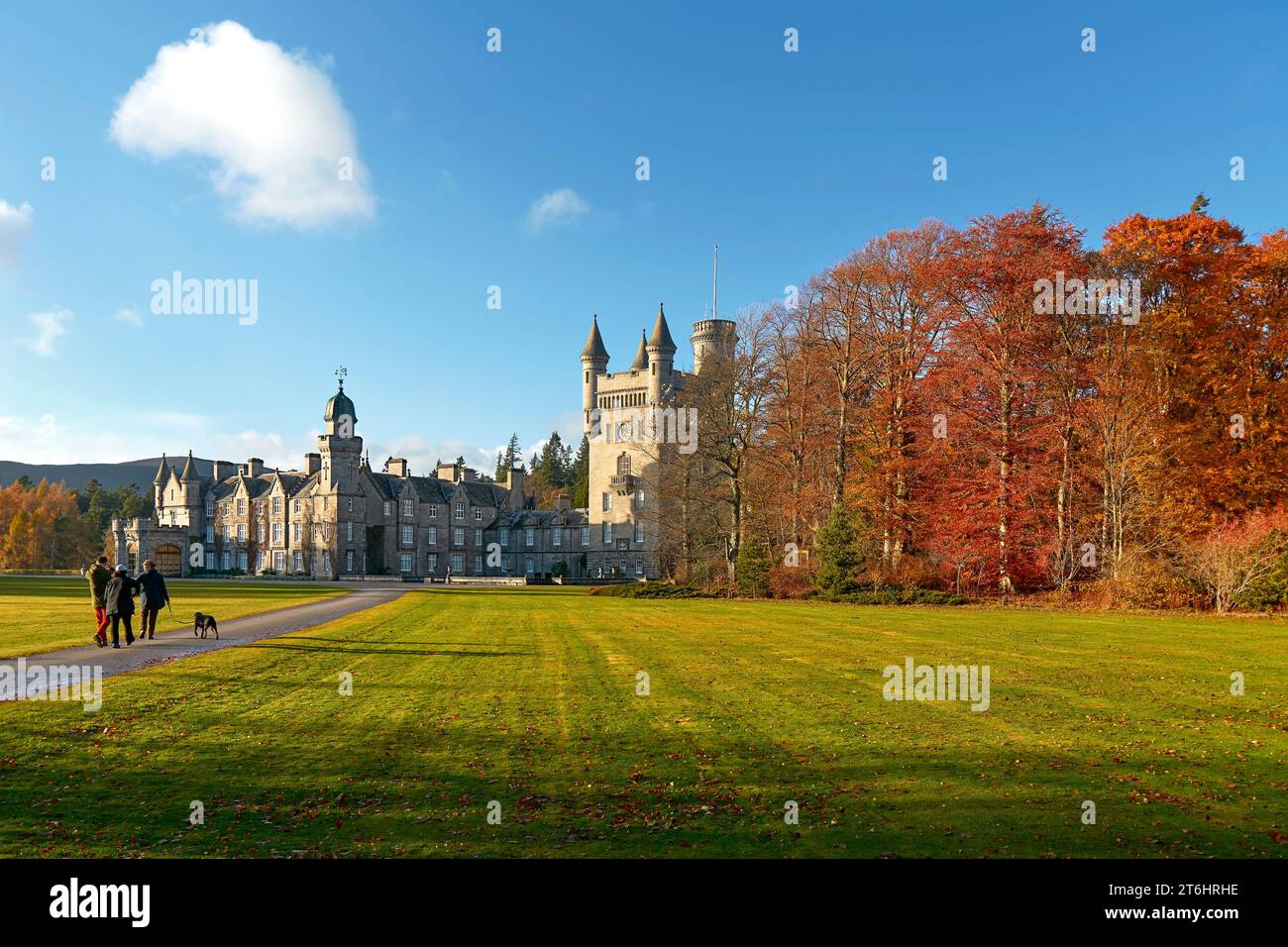 Scotland tourists family tree hi-res stock photography and images - Alamy