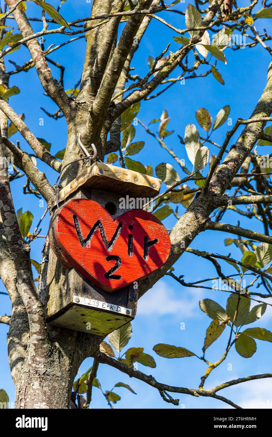 Bird nesting box with decorative red heart in rowan (sorbus Stock Photo ...