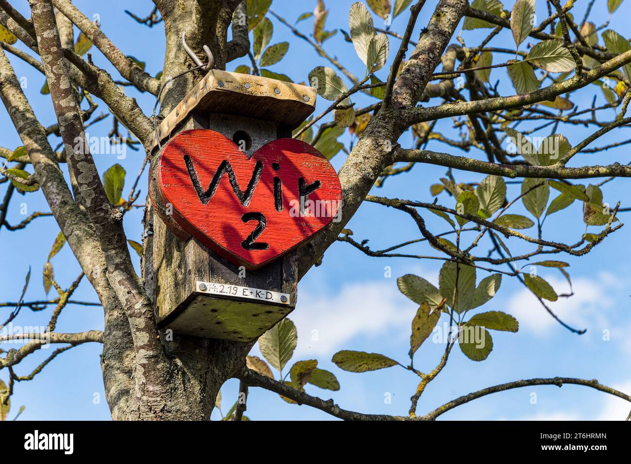 Bird nesting box with decorative red heart in rowan (sorbus Stock Photo ...