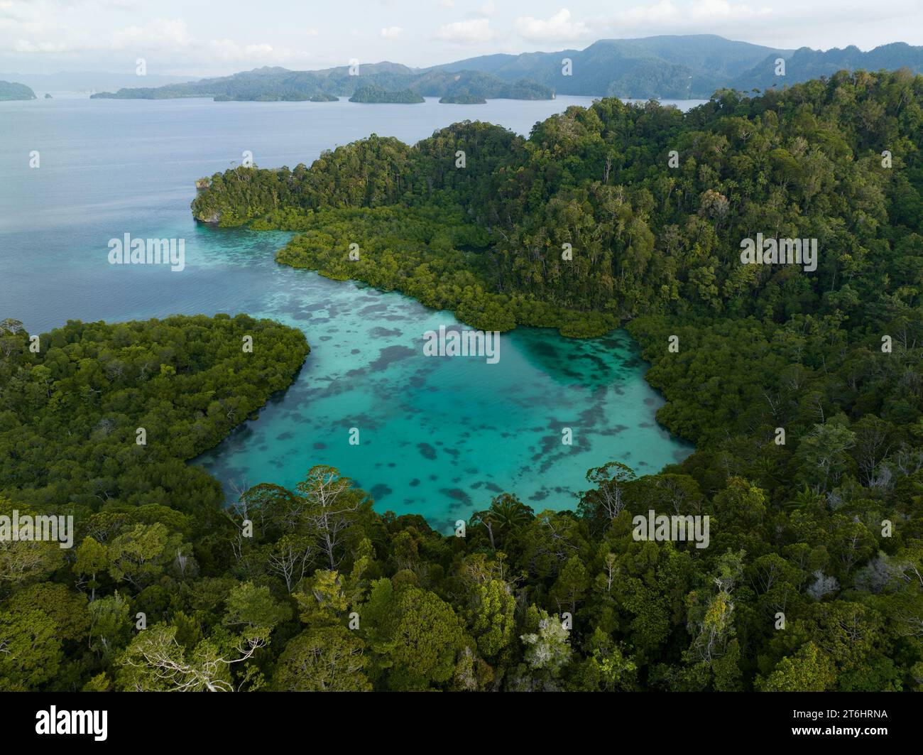 A forested limestone island is fringed by a beautiful coral reef in ...