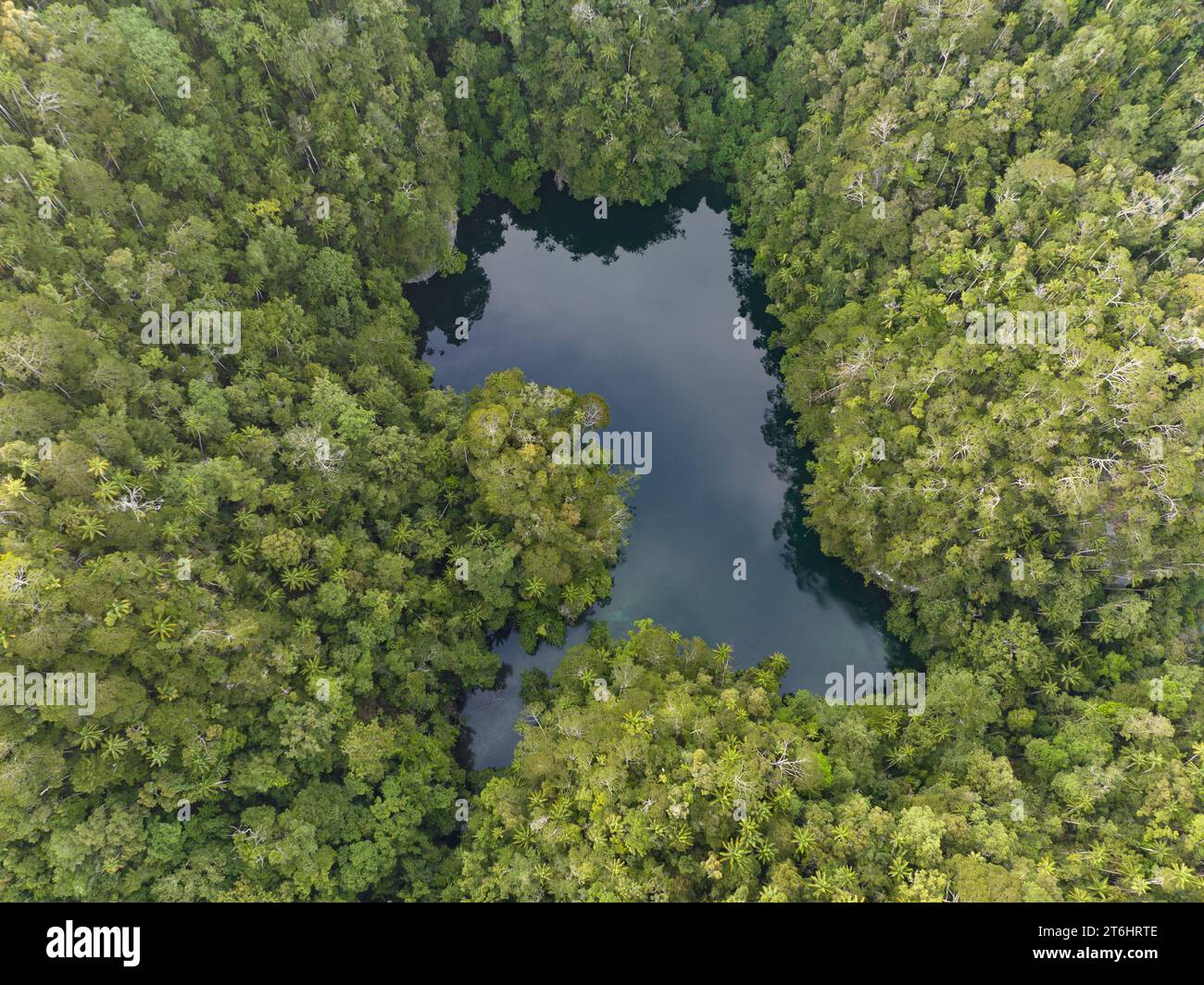 Lake raja ampat, indonesia aerial hi-res stock photography and images ...
