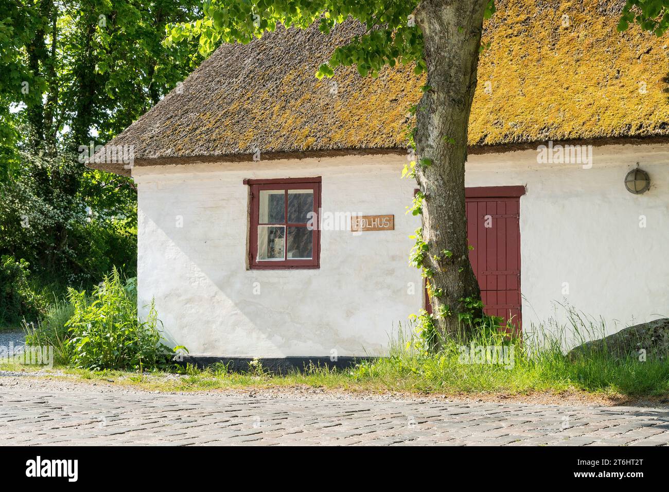 Aarhus, Denmark, Moesgaard Museum, Folhus (chicken coop Stock Photo - Alamy