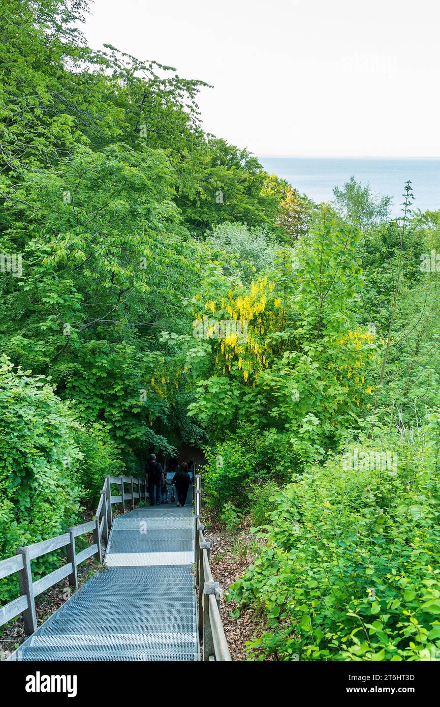 Denmark, Jutland, Aarhus, landscape conservation area 'Marselisborg ...