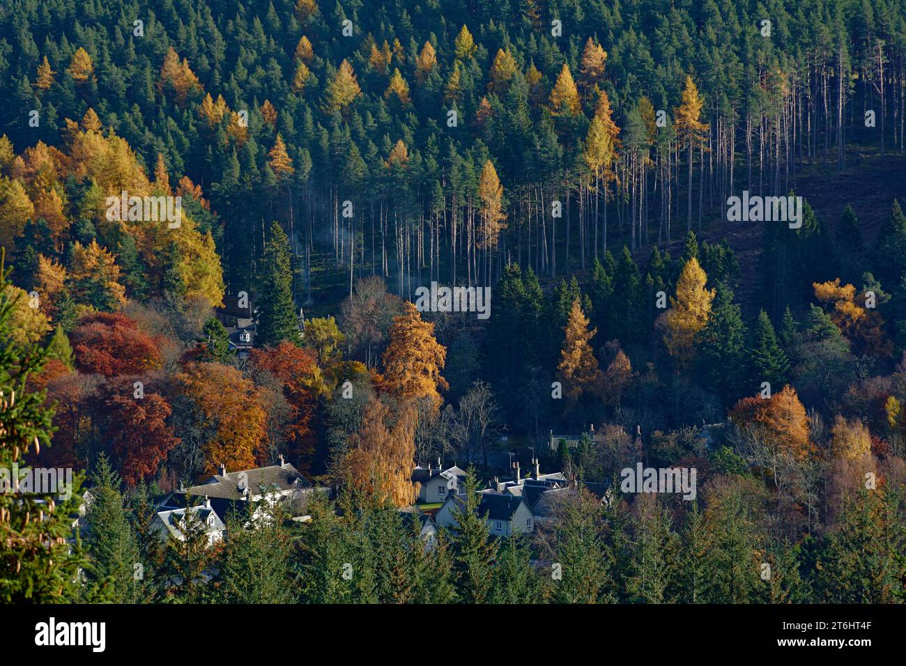 Balmoral Estates Crathie Scotland pine forest and estate houses with ...