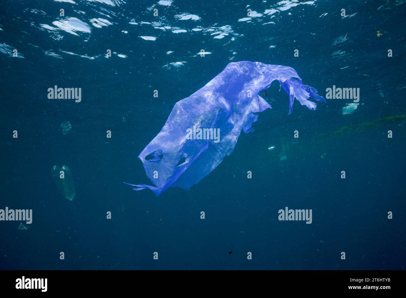 Trash floating in ocean, Raja Ampat, West Papua, Indonesia Stock Photo ...