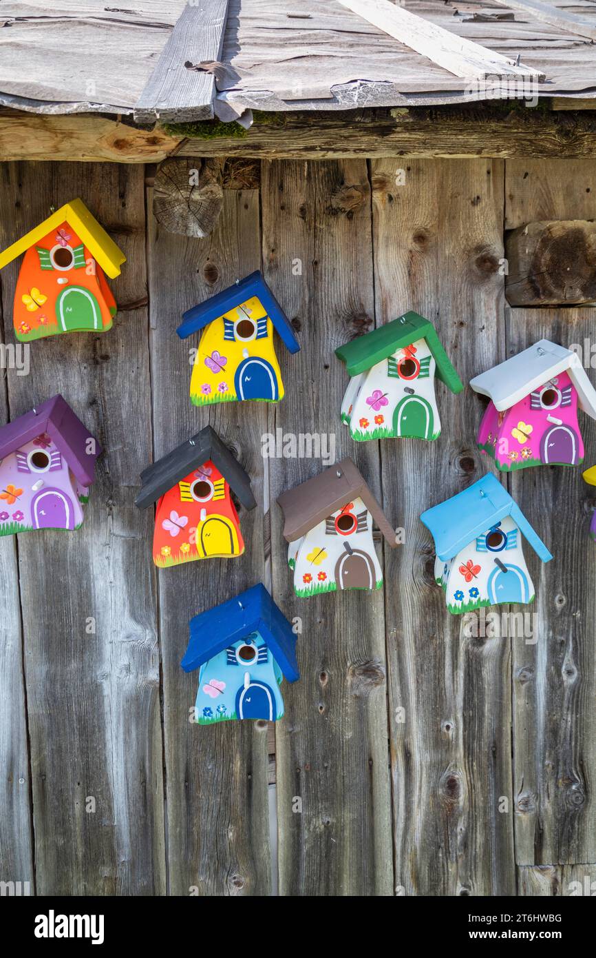 Bird on birdhouse hi-res stock photography and images - Alamy