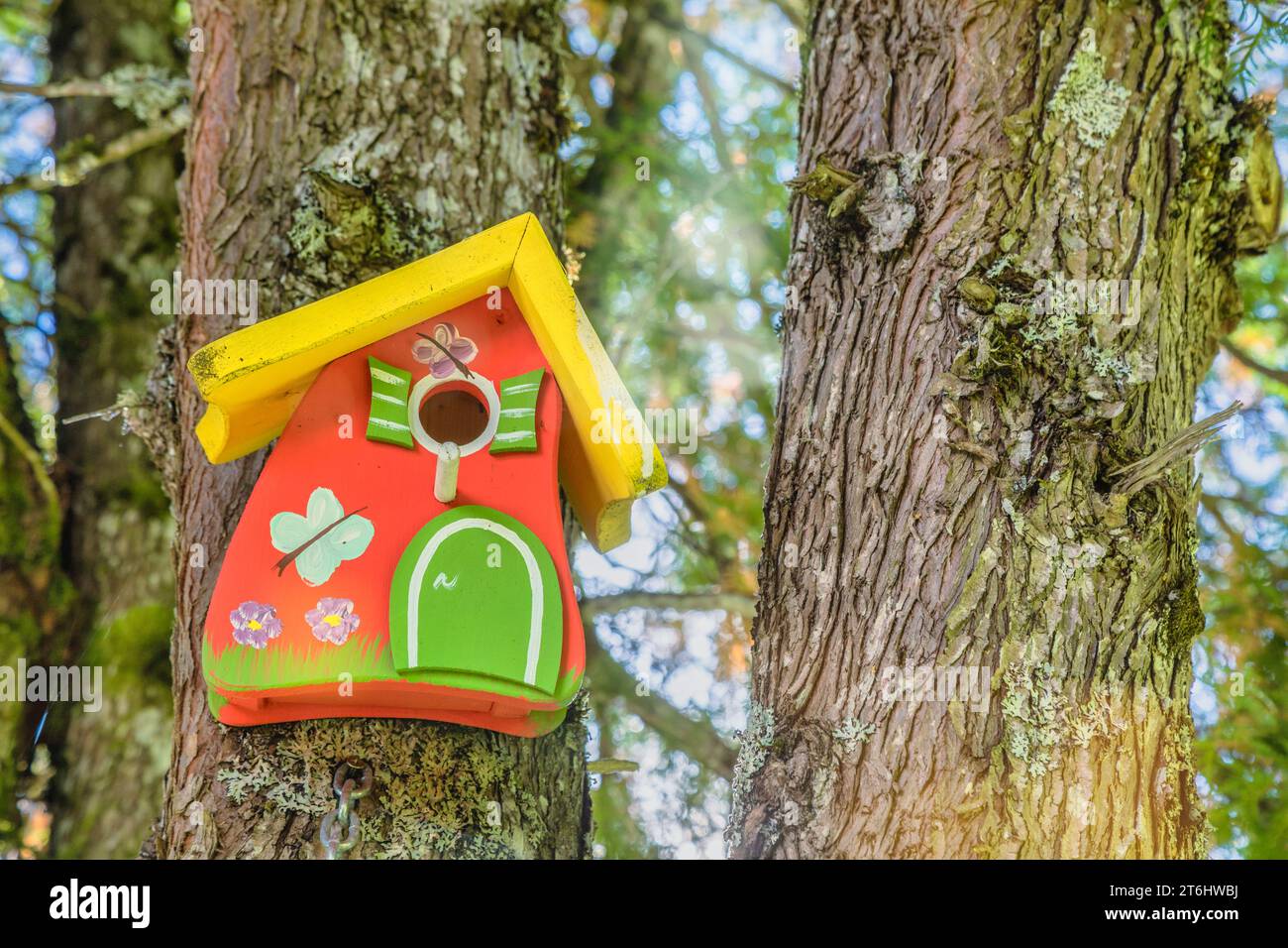 Colorful decorative bird box hanging from a tree Stock Photo - Alamy