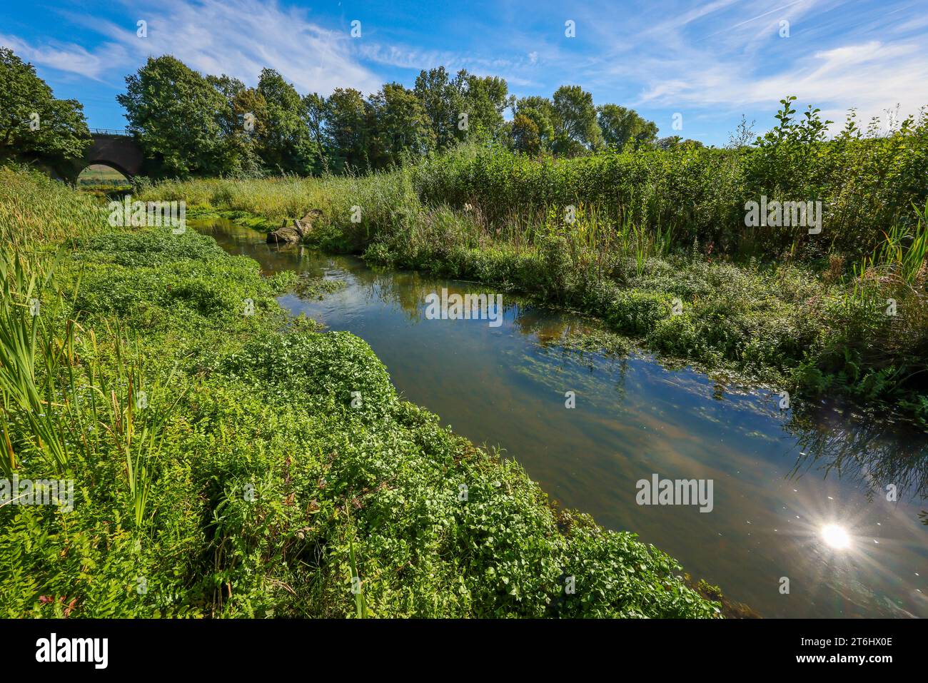 Bottrop-Gladbeck, North Rhine-Westphalia, Germany, renaturalized Boye ...