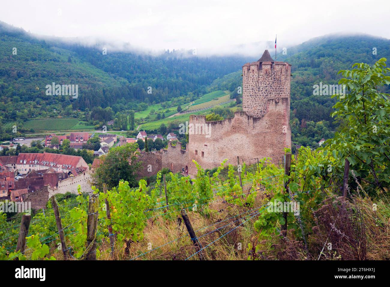 Kaysersberg Castle (French Chateau de Kaysersberg), sometimes called ...
