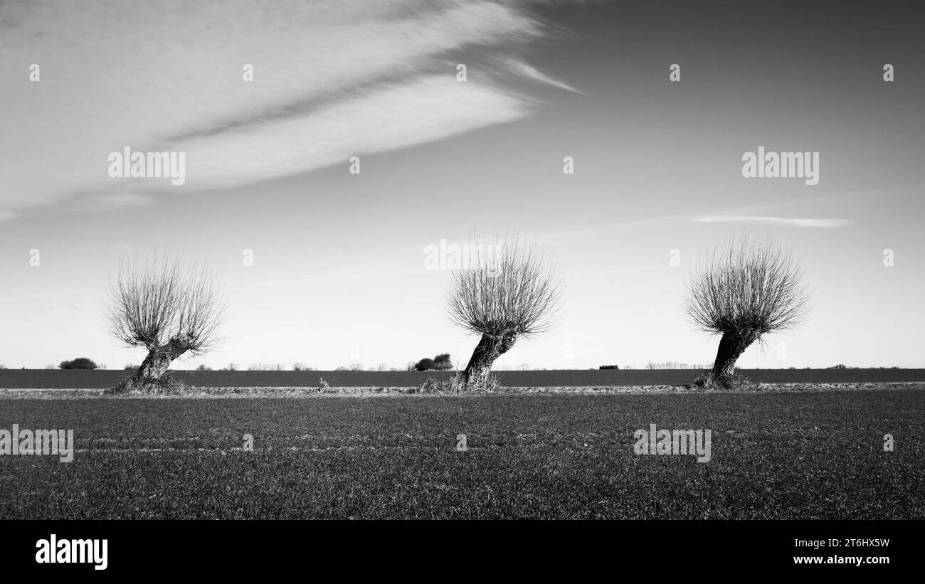 Pollard lane hi-res stock photography and images - Alamy