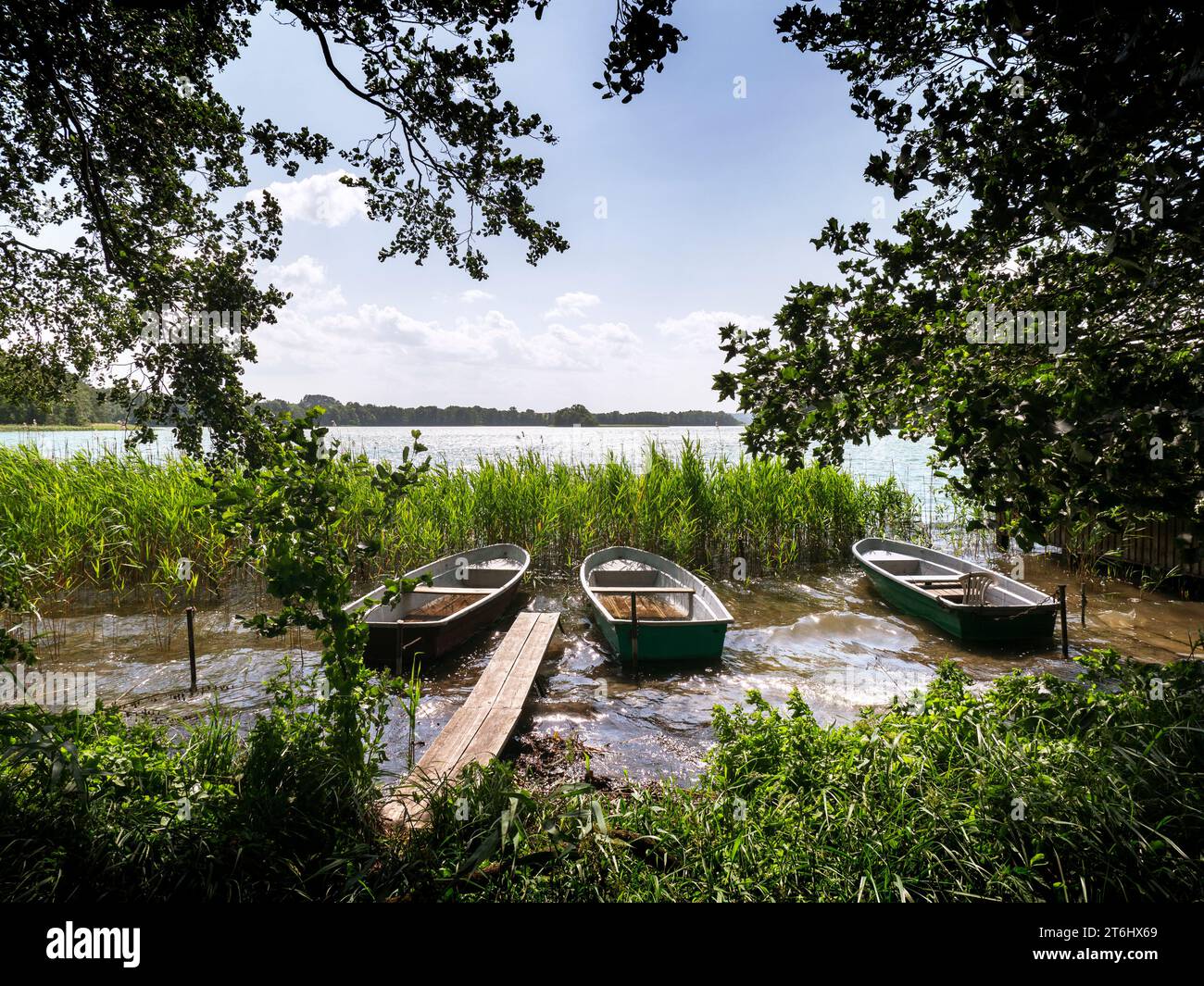 Fishing barges on the Breite Luzin in the Feldberg lake district Stock ...