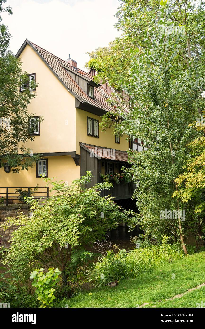 Thuringia, Erfurt, old town, dusk, broad current, student burse Stock ...