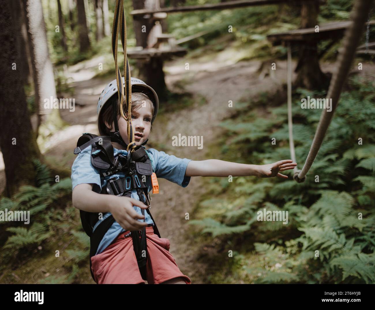 Forest climbing garden Stock Photo - Alamy