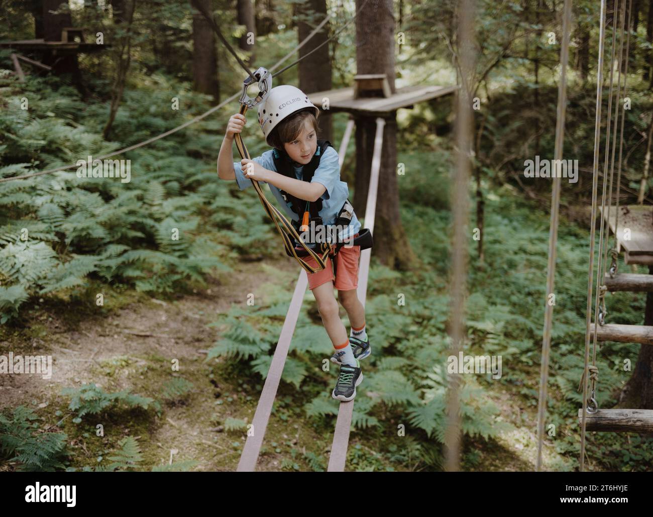 Forest climbing garden Stock Photo - Alamy
