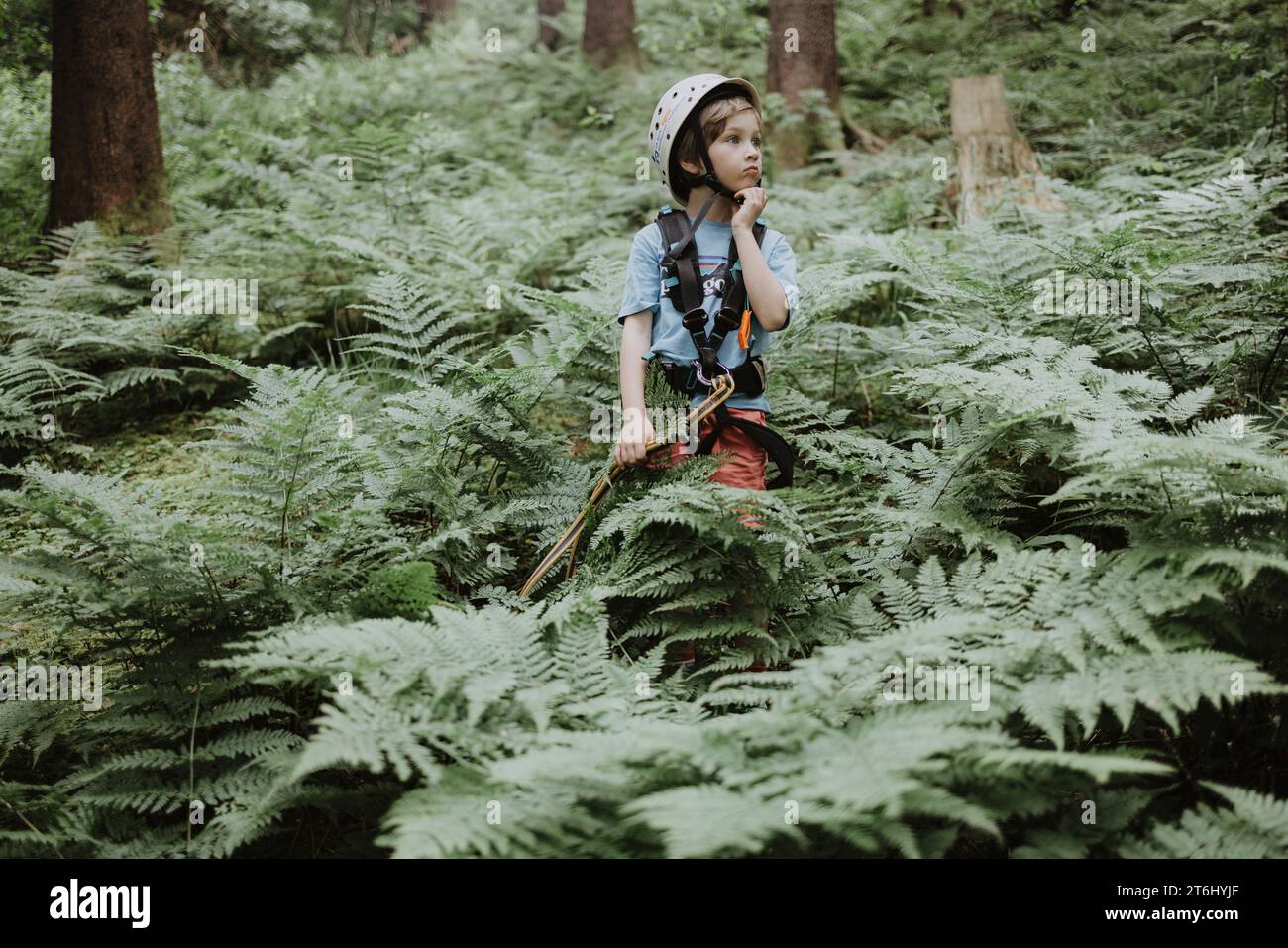 Climbing the daylight and nature hi-res stock photography and images ...