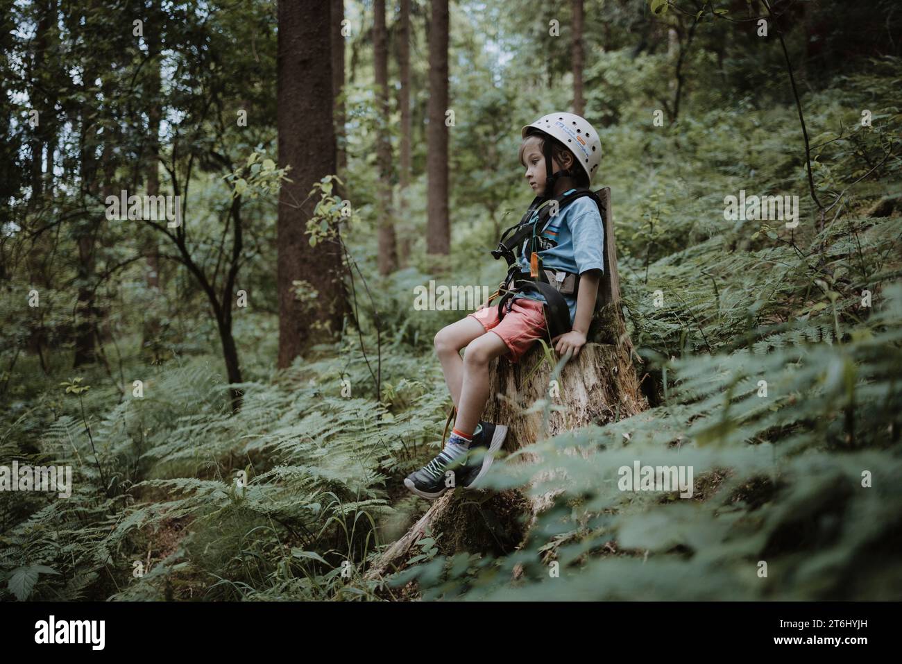Forest climbing garden Stock Photo - Alamy