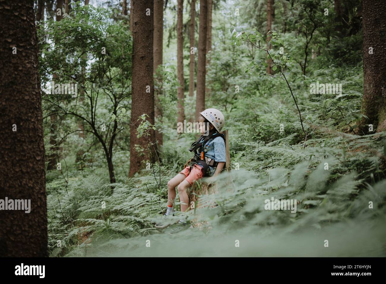 Forest climbing garden Stock Photo - Alamy