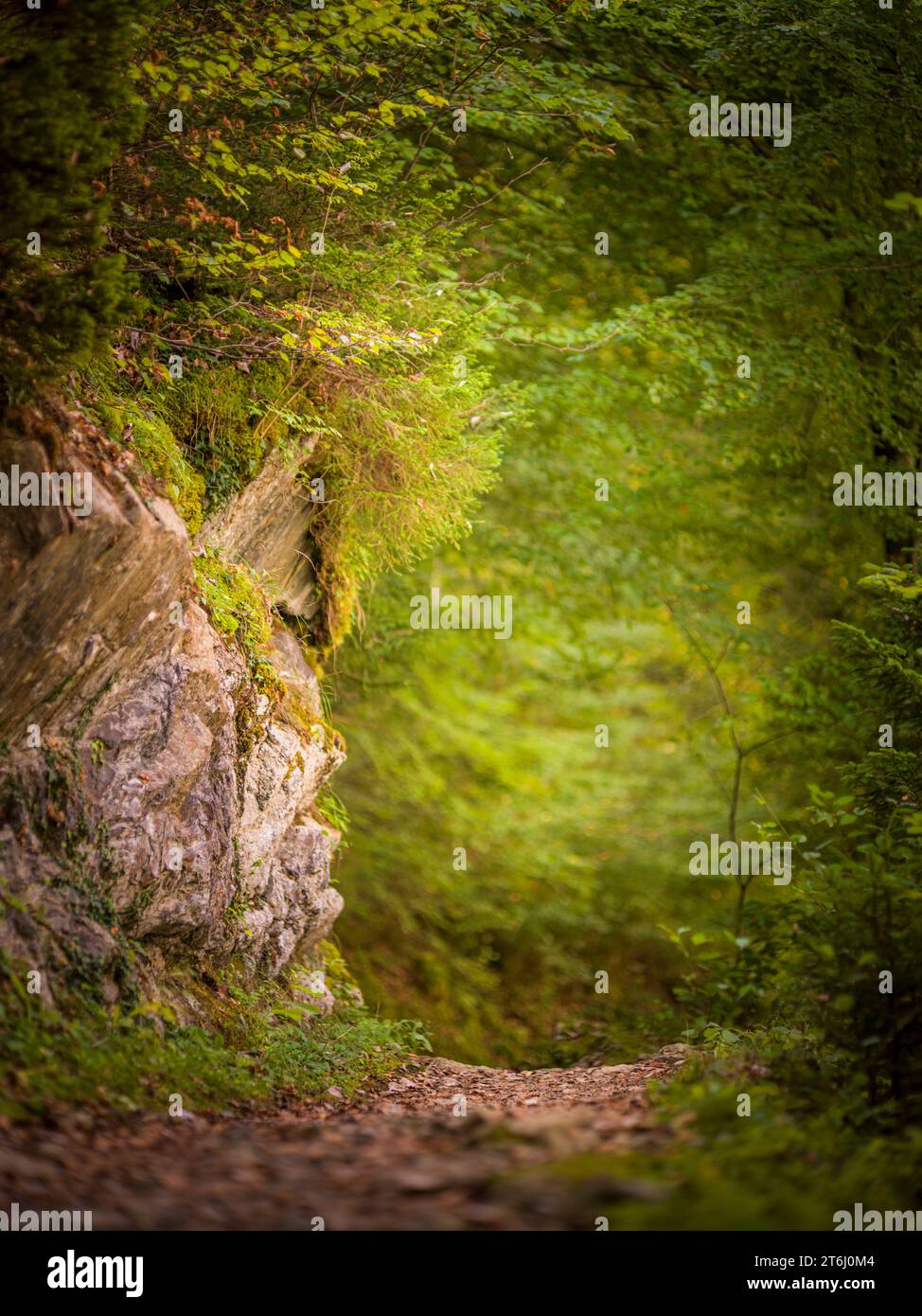 Switzerland's most beautiful lakeside path on Lake Brienz in the canton ...