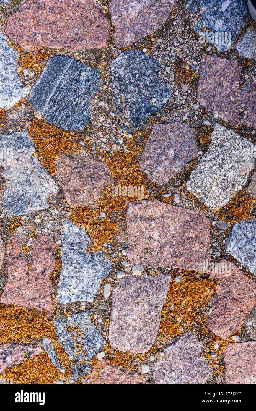 Granite stone sidewalk, tree flowers lie on the ground and form a ...
