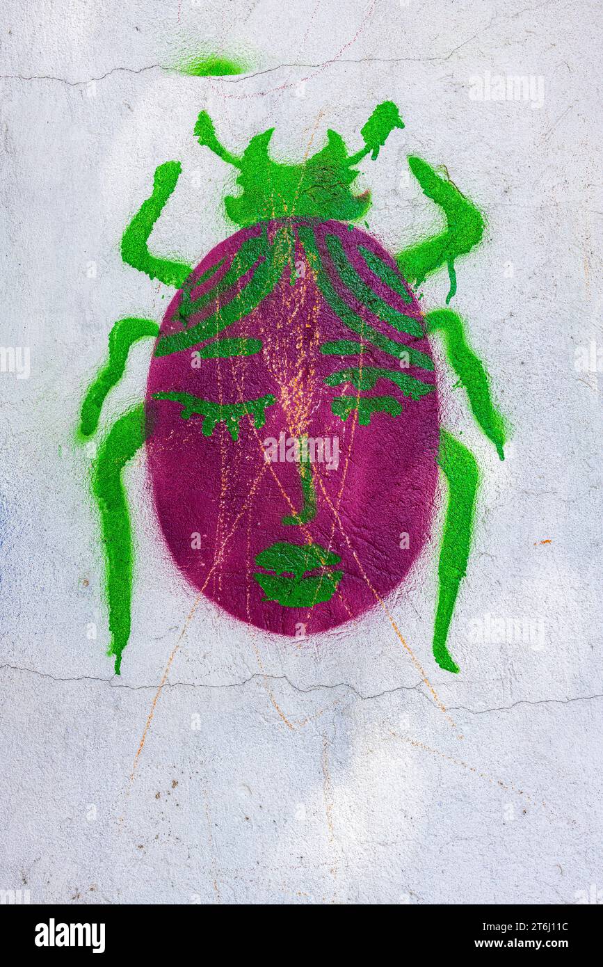 Graffiti on a wall, beetle with face Stock Photo - Alamy