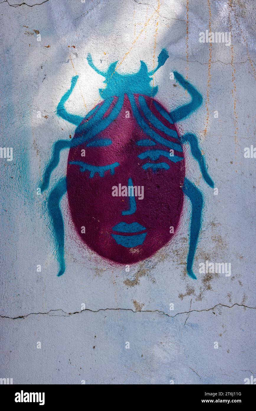 Graffiti on a wall, beetle with face Stock Photo - Alamy