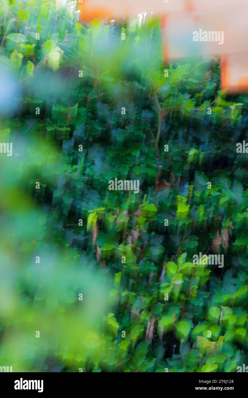 Abstract wallpaper from nature hi-res stock photography and images - Alamy