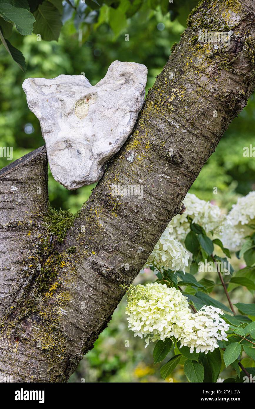 Tree flotsam hi-res stock photography and images - Alamy