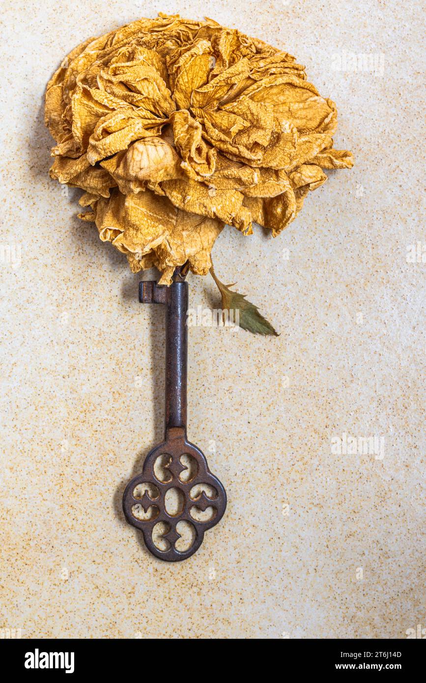 Decorative set of old key with old dry withered flower floral still ...