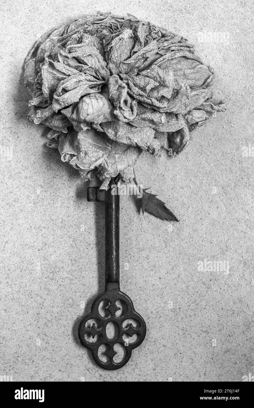 Decorative set of old key with old dry withered flower floral still ...