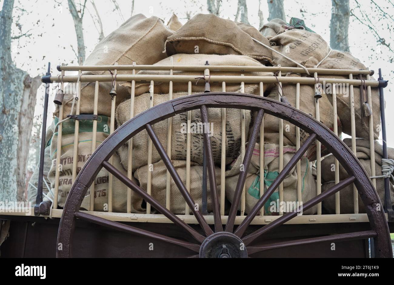 Carnival carriage hi-res stock photography and images - Alamy