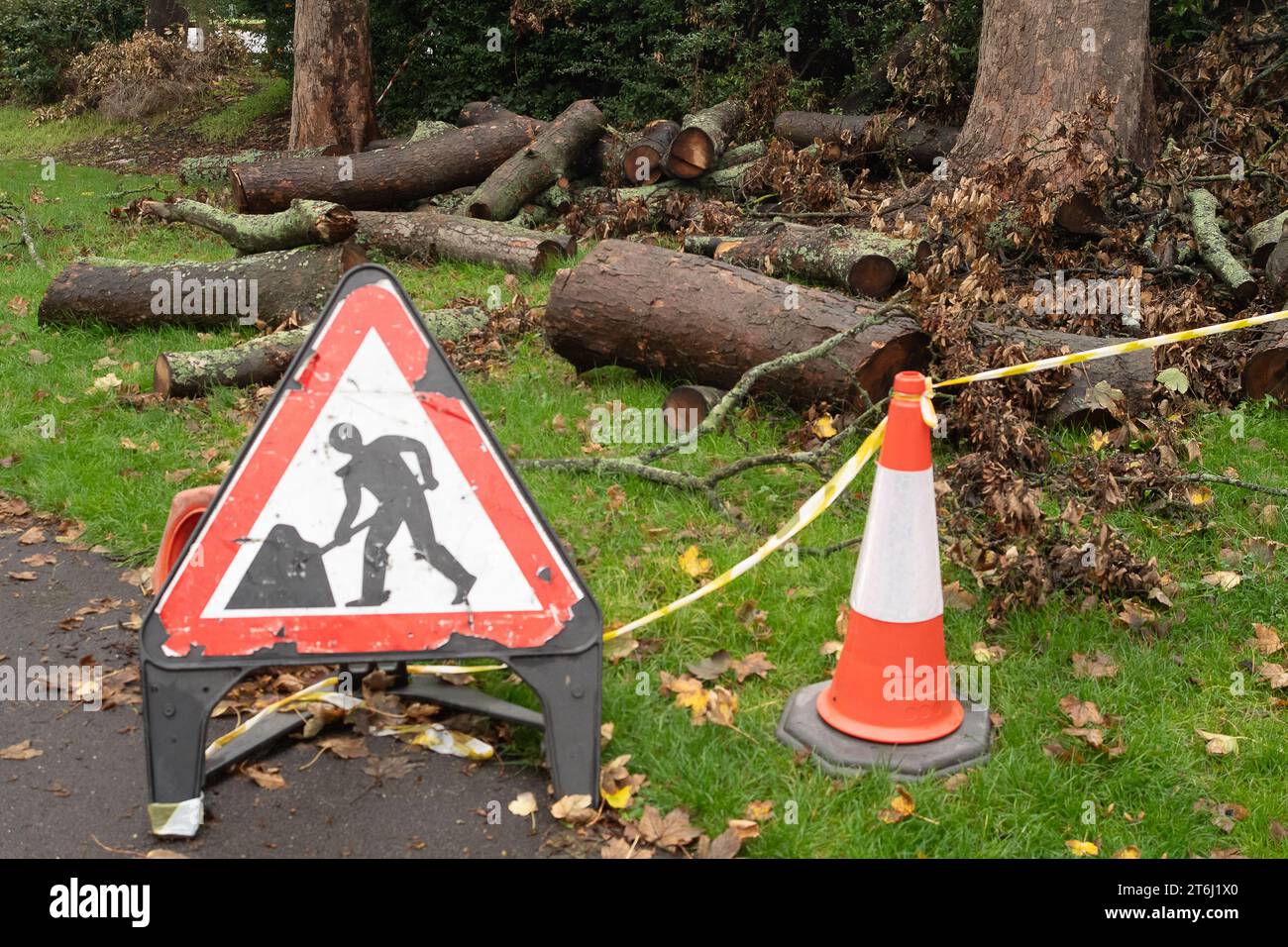 Windsor, Berkshire, UK. 13th October, 2023. A tree has been cut down in ...