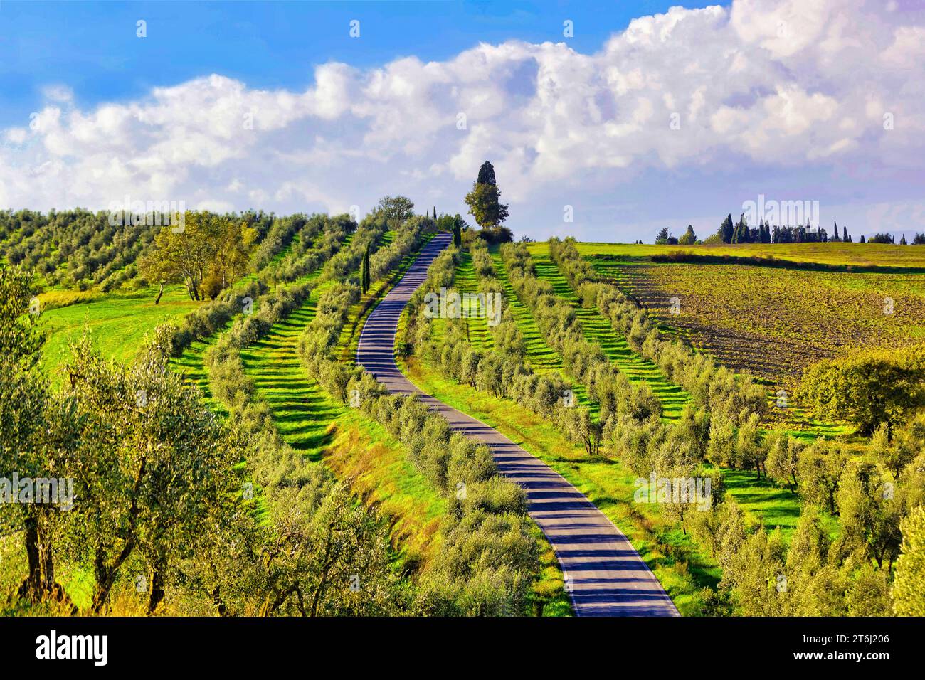 Tuscany landscape, La Crete Senesi, Tuscany, Italy Stock Photo - Alamy