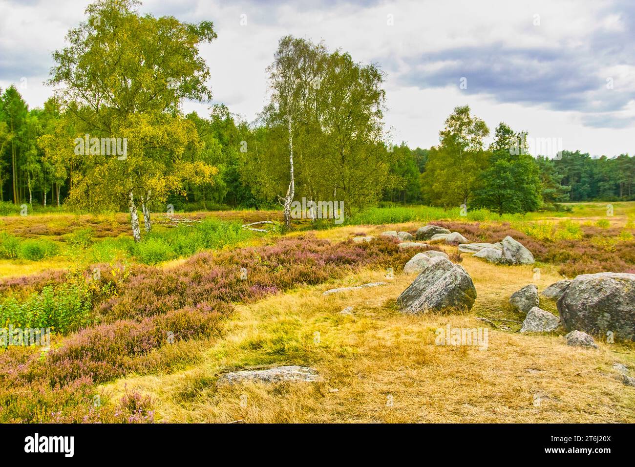 Megalithic cult site from the Stone Age near Dötlingen in the ...