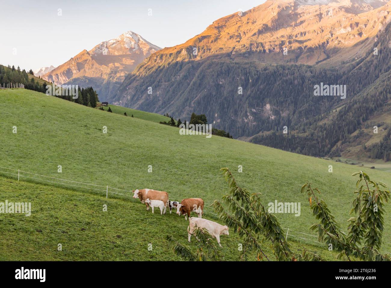 Sunrise, Fröstlberg in the Rauris valley with view of the mountains ...
