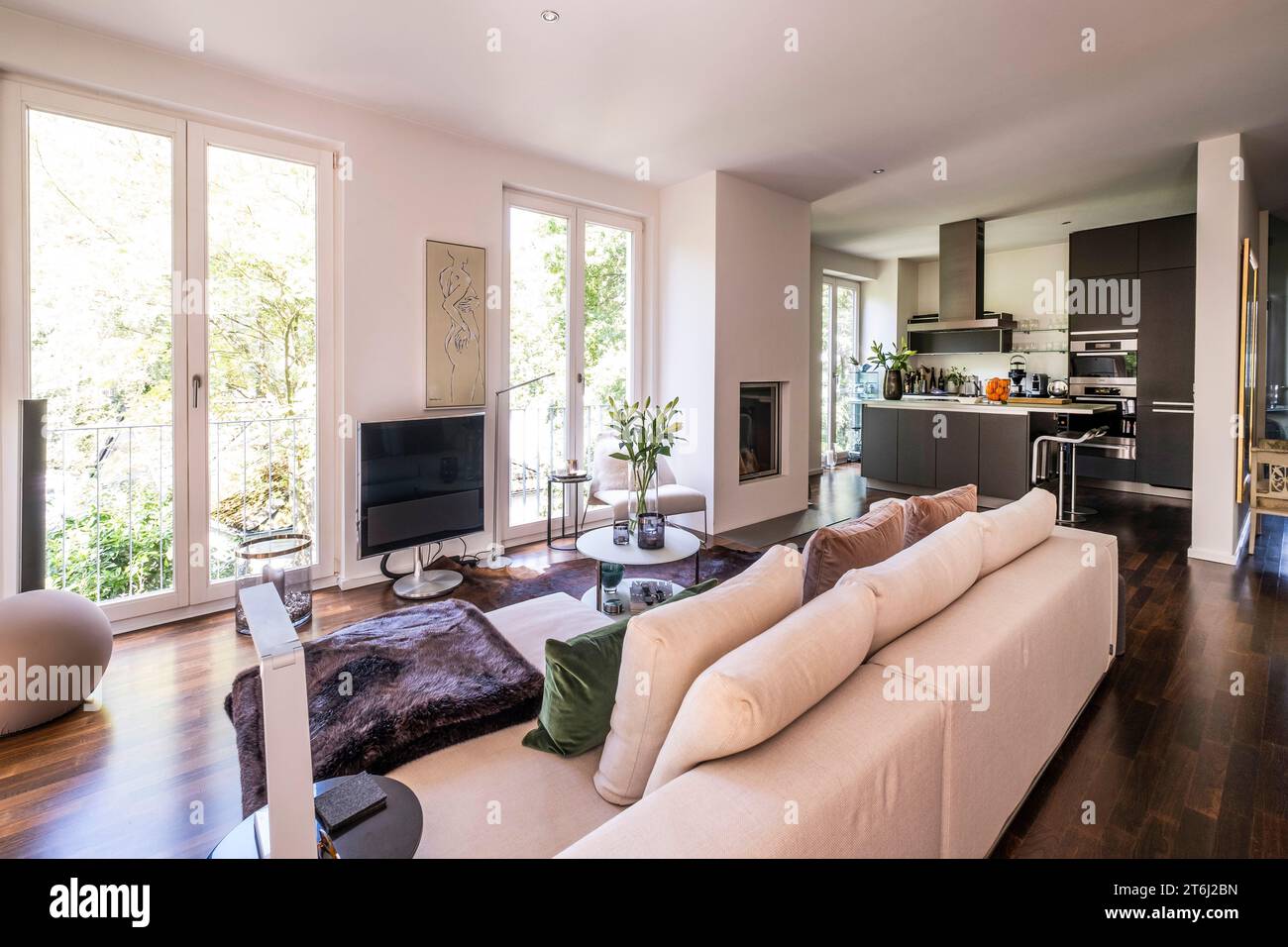 Modern apartment, interior view, living - dining area Stock Photo - Alamy
