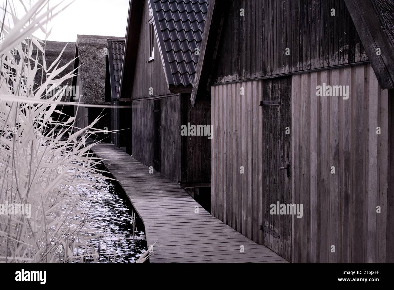 Europe, Germany, Mecklenburg-Western Pomerania, Müritz Region ...