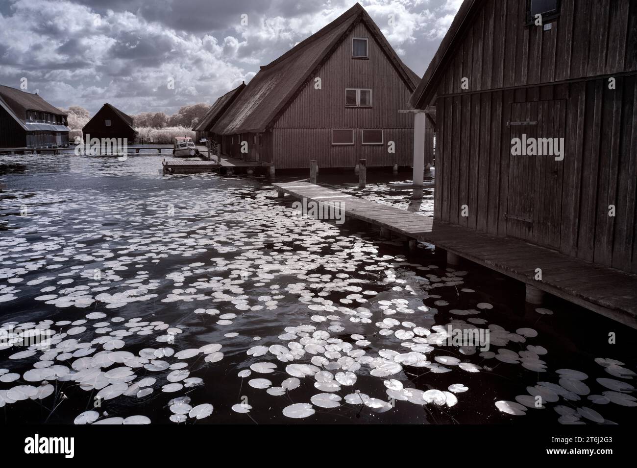 Europe, Germany, Mecklenburg-Western Pomerania, Müritz Region ...